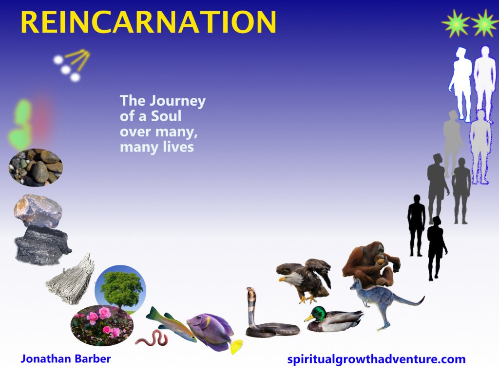 If reincarnation is true, how would you live your life ...