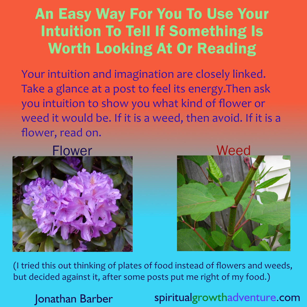 Using Intuition on Social Media, and News – Spiritualgrowthadventure